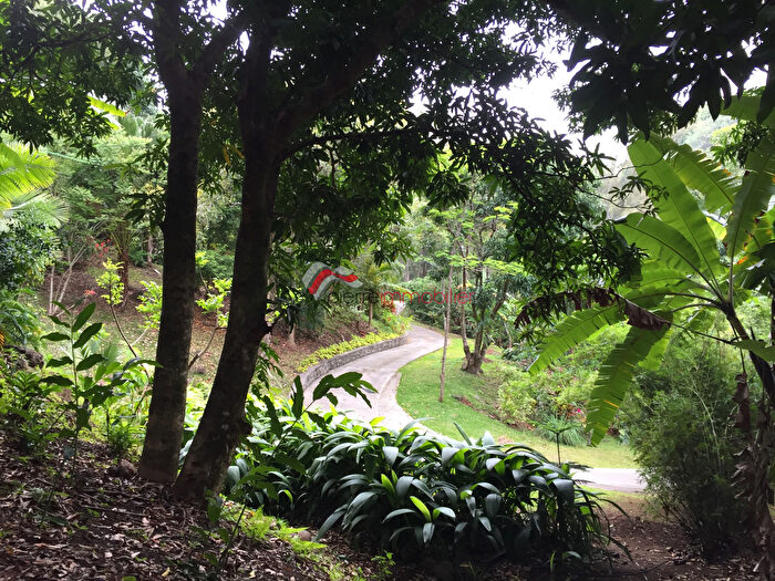 Maison à vendre - Sainte-Marie, LEspérance - 6 pièces - 3 chambres