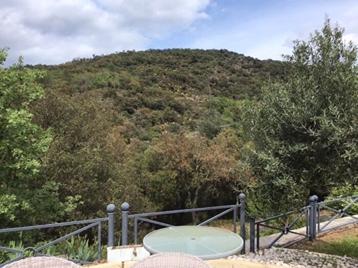 Maison à vendre - Collobrières - 11 pièces - 7 chambres