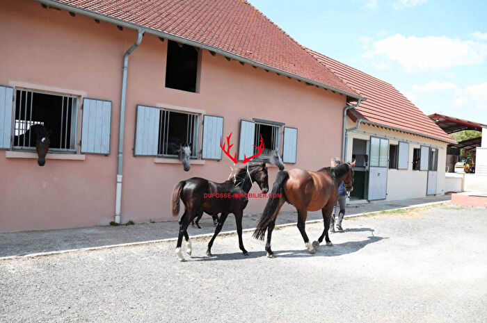 Maison à vendre - Louhans - 6 pièces - 4 chambres