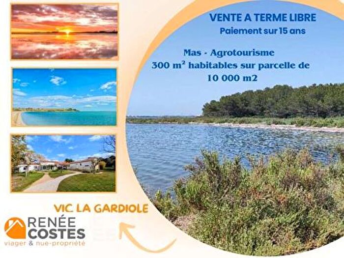 Appartement à vendre - Vic-la-Gardiole - 15 pièces - 9 chambres