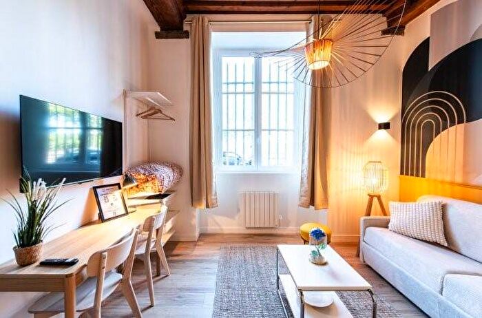 Appartement à louer - Pentes de la croix-rousse, Lyon er arrondissement - 1 pièce