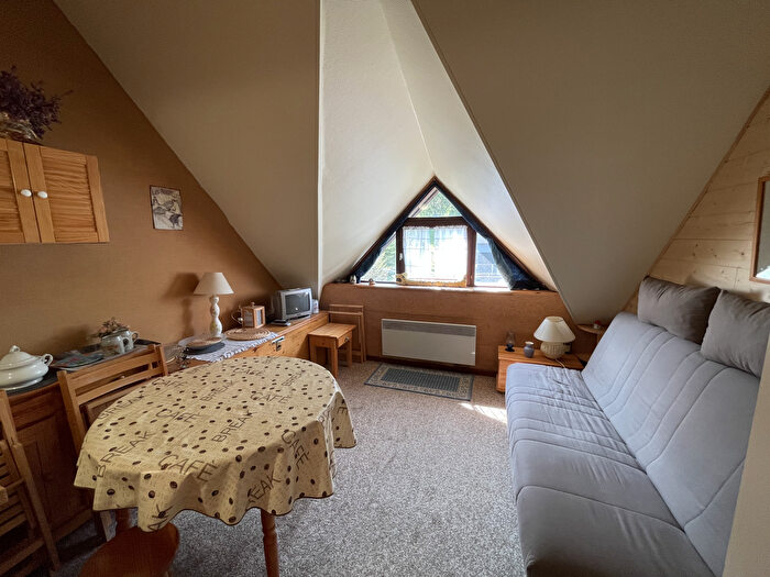 Appartement à vendre - Laveissière - 1 pièce