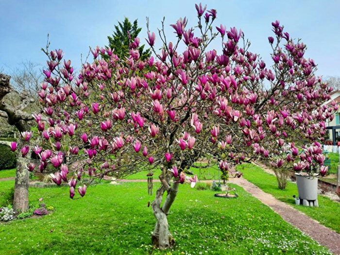 Maison à vendre - Saint-Junien - 4 pièces - 3 chambres