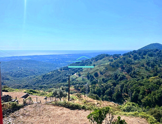 Appartement à vendre - SantAndréa-di-Cotone - 3 pièces - 2 chambres