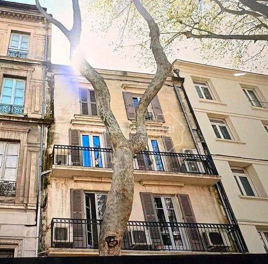 La Balance-Raspail, Avignon : Appartement 1 pièce à louer