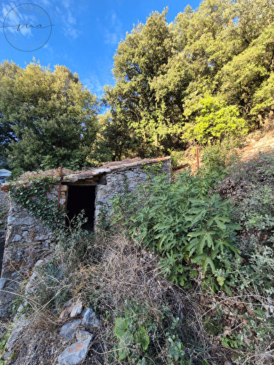 Maison à vendre - Cabrerolles - 1 pièce - 1 chambre