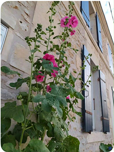 Appartement à Pont-lAbbé-dArnoult, à vendre