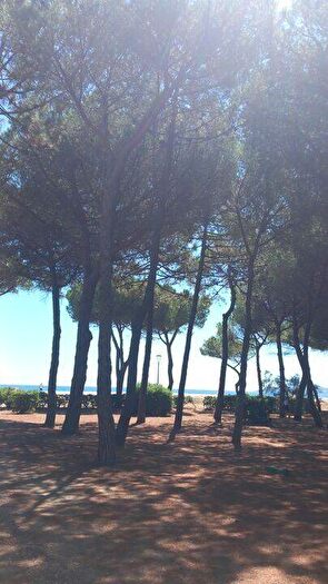 Appartement 2 pièces à Plage et Ecarts, Argelès-sur-Mer, à louer