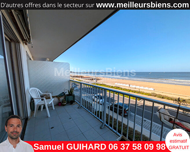 Maisons à vendre et appartements à louer - 1