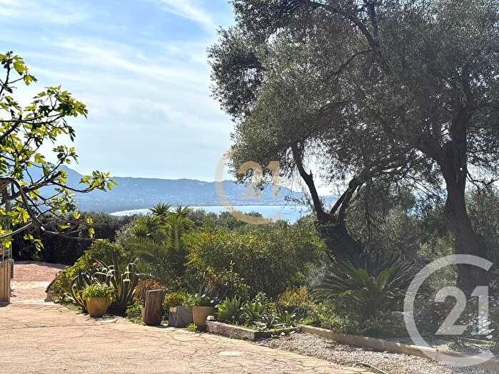 Maison à vendre - Lumio - 3 pièces - 2 chambres