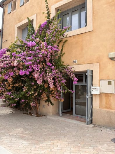 Appartement 1 pièce à louer - Villeneuve-lès-Maguelone