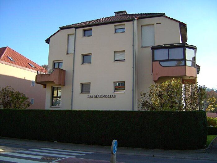Appartement 1 pièce à louer - Forêts de Zang et du Steinberg, Saint-Avold