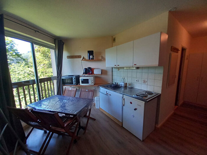 Laveissière : Appartement 1 pièce à vendre