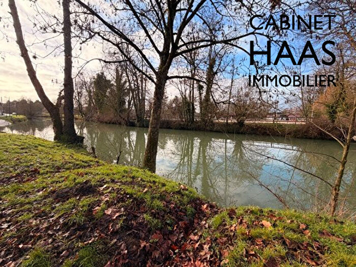 Appartement à louer - Couilly-Pont-aux-Dames - 2 pièces - 1 chambre