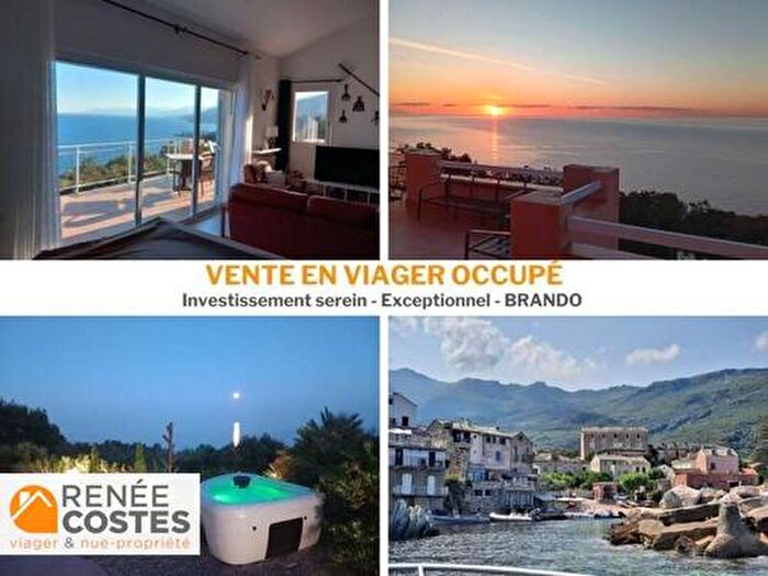 Maison à vendre - Brando - 6 pièces - 3 chambres