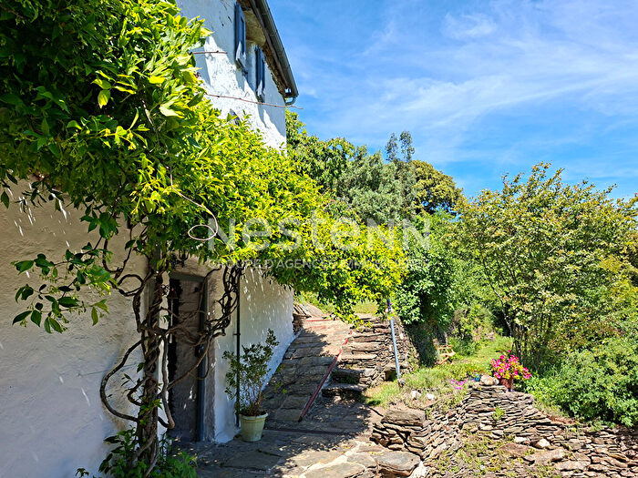Saint-Frézal-de-Ventalon - Maison 10 pièces à vendre