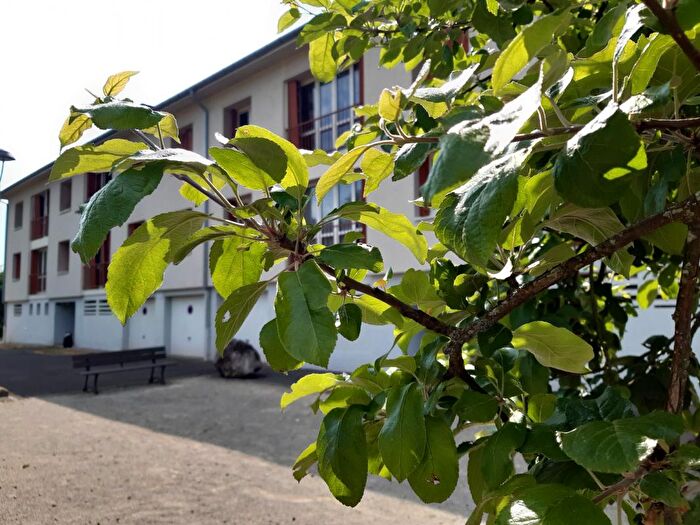 Appartement à louer - Faucogney-et-la-Mer - 3 pièces - 2 chambres