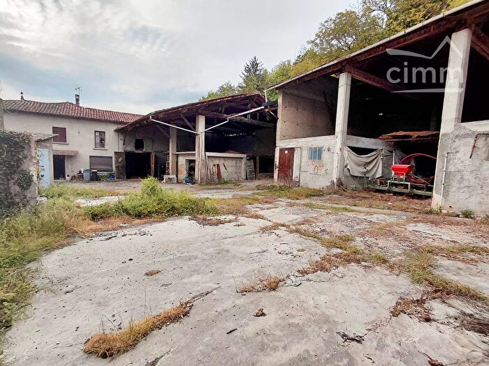 Cessieu : Maison 7 pièces à vendre