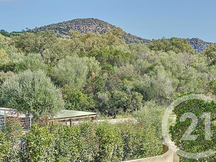 Maison à vendre - Zonza - 3 pièces - 2 chambres