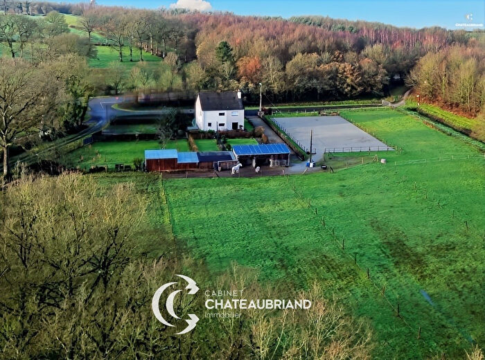 Maison à vendre - Thorigné-Fouillard - 7 pièces - 4 chambres