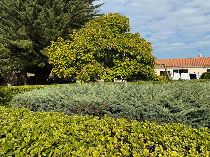 Maison à vendre - Saint-Georges-dOléron, Domino, Chaucre, Epinouses, Grand Cluseau, Coquettes - 10 pièces - 4 chambres