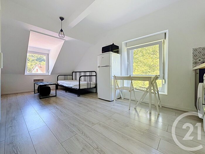 Montbéliard, Centre-ville, Prairie, Batteries du Parc, Charmontet - Appartement 1 pièce à louer