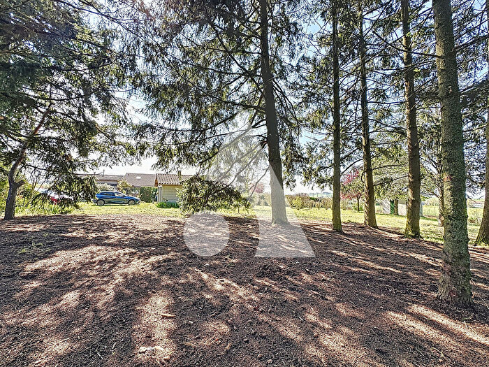 Maison à vendre - Cottance - 8 pièces - 4 chambres