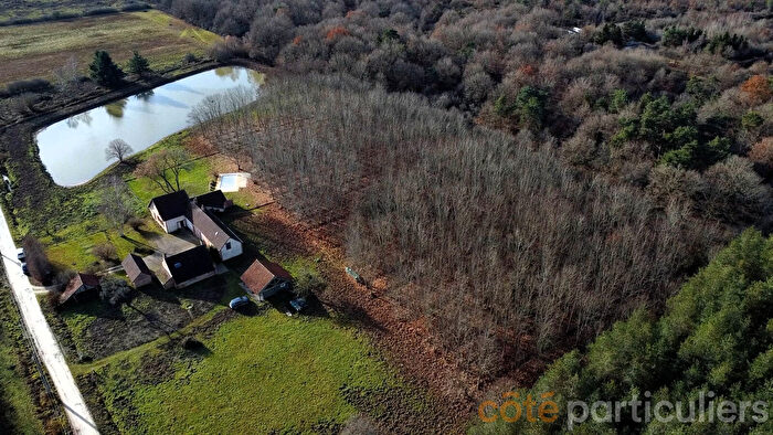 Maison à vendre - La Ferté-Saint-Aubin - 15 pièces - 8 chambres