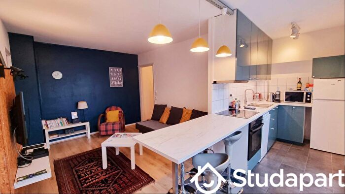 Appartement à louer - Saint Maurice-Pellevoisin, Lille - 2 pièces - 1 chambre