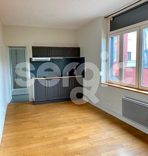 Appartement 1 pièce à Roubaix, Epeule, Trichon, à louer