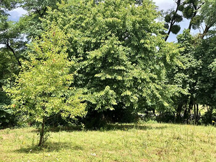 Maison à vendre - Adriers - 4 pièces - 1 chambre