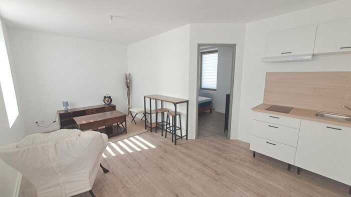Saint-Symphorien-sur-Coise : Appartement 1 pièce à louer
