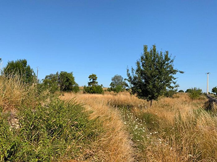 Maison à vendre - Contrexéville - 7 pièces - 6 chambres