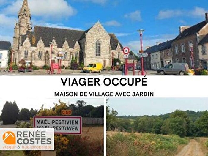 Maison à vendre - Maël-Pestivien - 5 pièces - 4 chambres