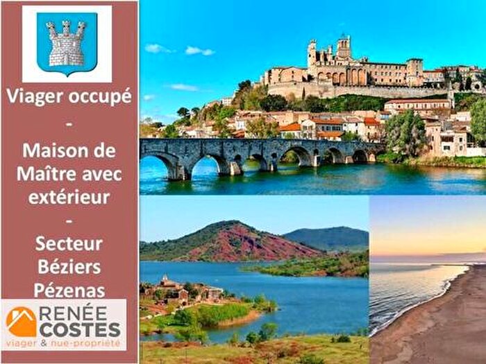 Maison à vendre - Béziers, Garrissou, Plaisance - 5 pièces - 3 chambres