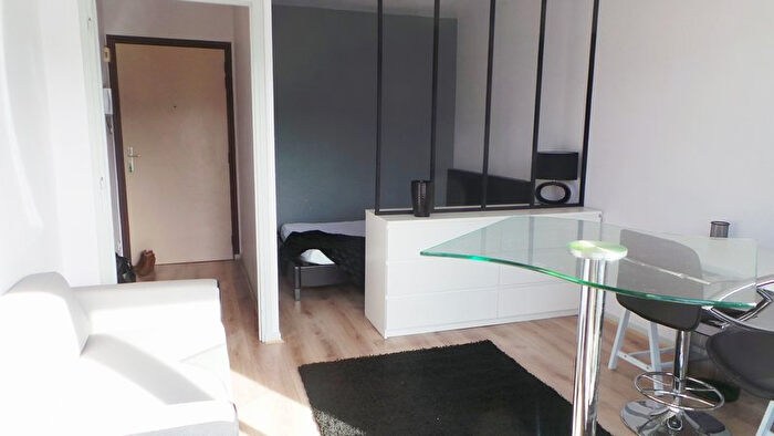 Appartement à louer - Clermont-Ferrand, Jaude, Fontgiève Saint-Alyre - 1 pièce