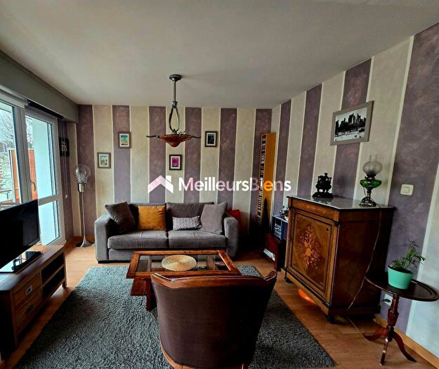 Valenciennes, Quesnoy, Delsaux, Musée, Cannoniers, Gare : Appartement 5 pièces à vendre