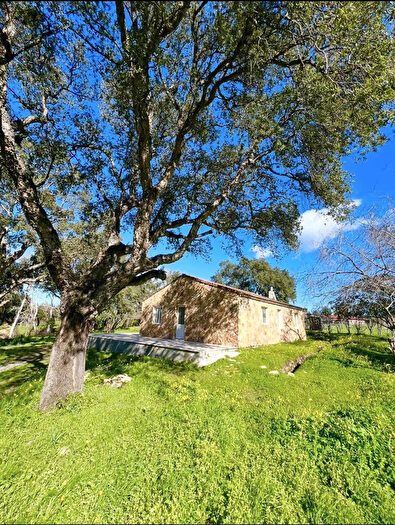 Maison 4 pièces à vendre à Aléria