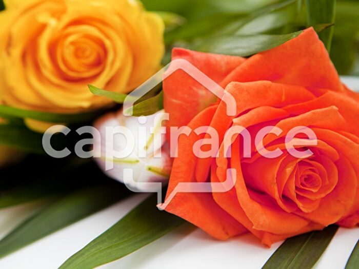 Appartement à louer - Bandraboua - 4 pièces - 3 chambres