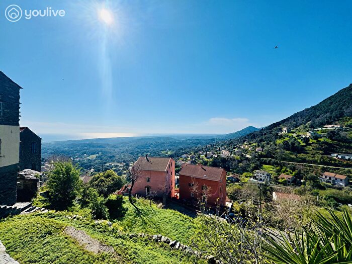 Appartement à vendre - Cervione - 2 pièces - 1 chambre