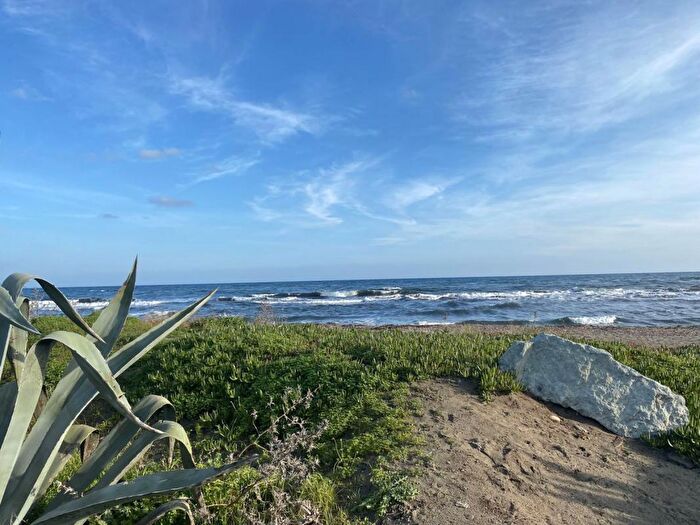 Maison à vendre - Borgo - 5 pièces - 3 chambres