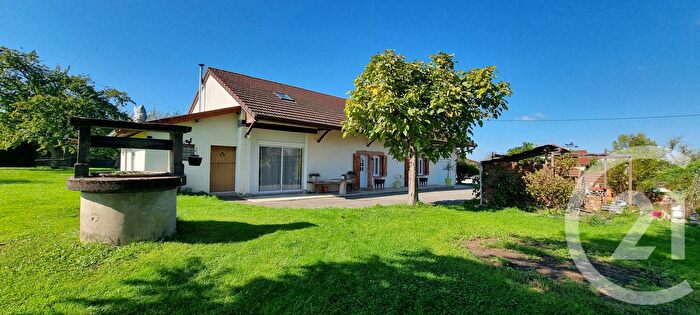 Maison à vendre - Savigny-en-Revermont - 6 pièces - 4 chambres