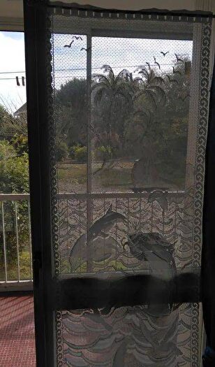 Appartement à louer - Roscoff - 1 pièce