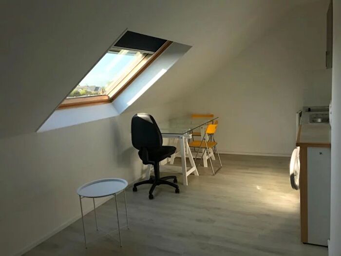 Appartement à louer - Olivet - 1 pièce