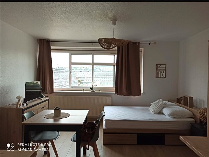 Appartement 1 pièce à louer à Lyon 7ème, Gerland