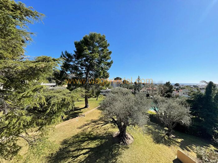 Appartement 3 pièces à vendre à Le Cannet, Bas Cannet