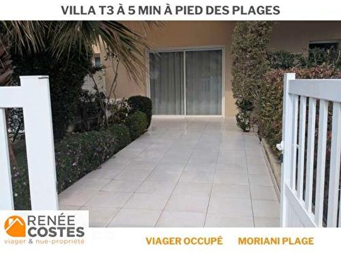 Maison à vendre - San-Nicolao - 3 pièces - 2 chambres