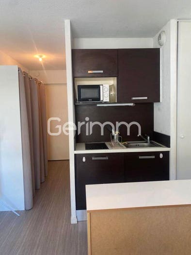 Nord Est, Saint-Martin-le-Vinoux : Appartement 1 pièce à louer