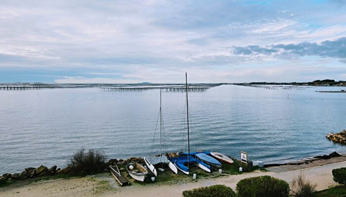 Maison à vendre - Bouzigues - 3 pièces