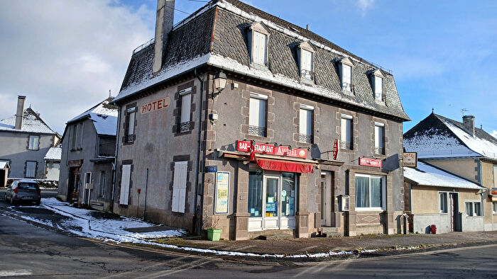 Maison à vendre - Anglards-de-Salers - 14 pièces - 10 chambres